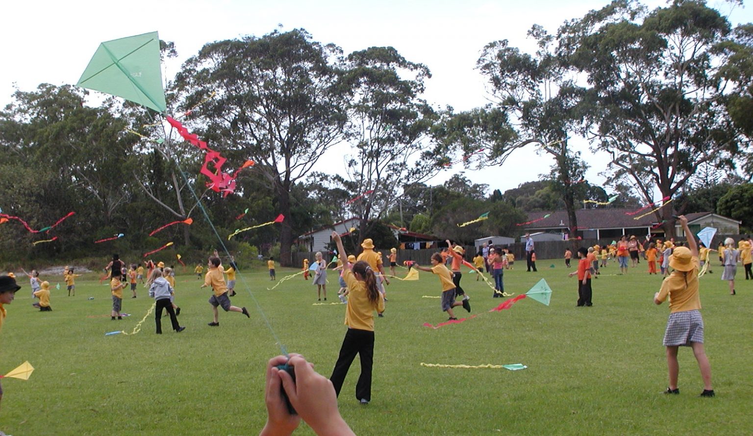 Classroom pack 20 kite kits assorted colours | Kites for Schools